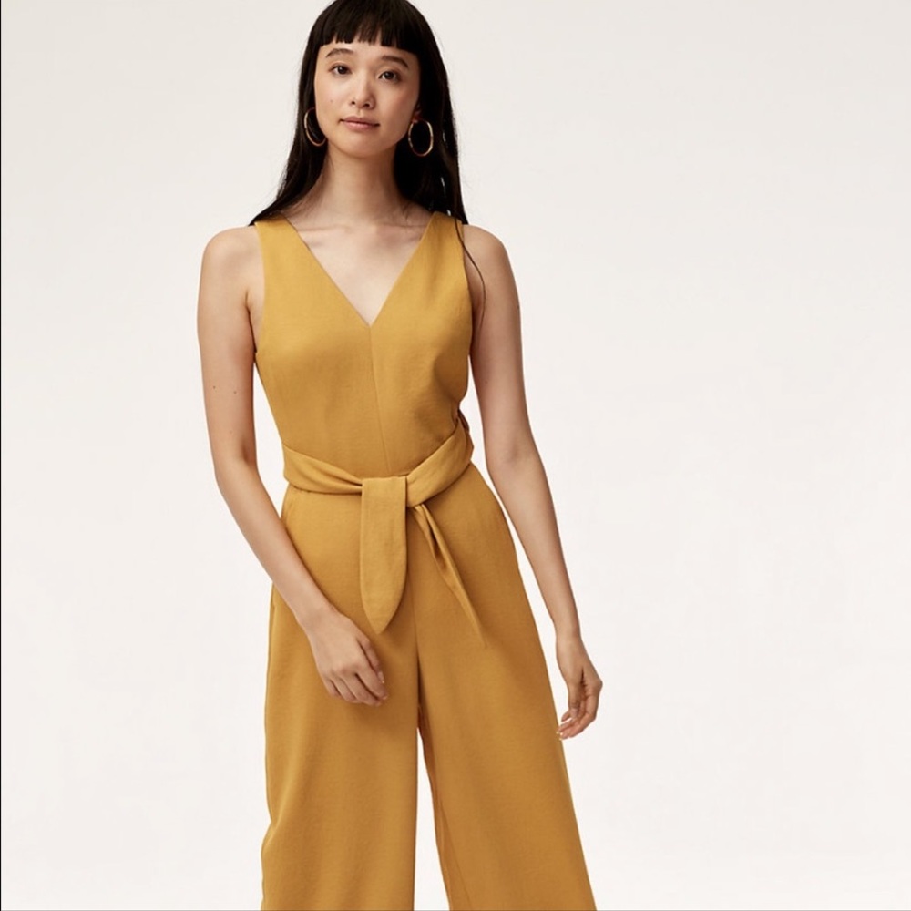 Aritzia Wilfred Ecoulement V Jumpsuit In Cairo - Gem